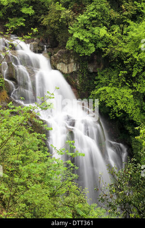 spring waterfall closeup in the woods Stock Photo - Alamy