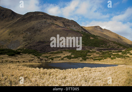 Oval lake at the foot of the mountain Stock Photo - Alamy