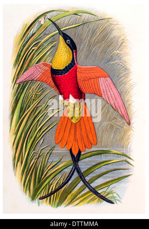 Crimson Topaz, Topaz Pella Stock Photo - Alamy