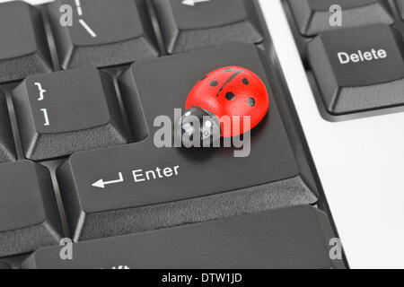 Toy ladybird on computer keyboard Stock Photo - Alamy