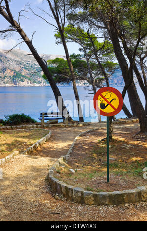 No smoking in the forest, fire danger warning sign on a tree, Hesse ...