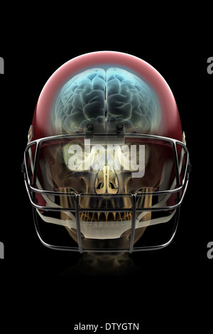 Skull and brain, illustration Stock Photo - Alamy