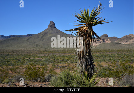 'the Witch's Teat' rock formation near Kingman, Arizona, along old ...