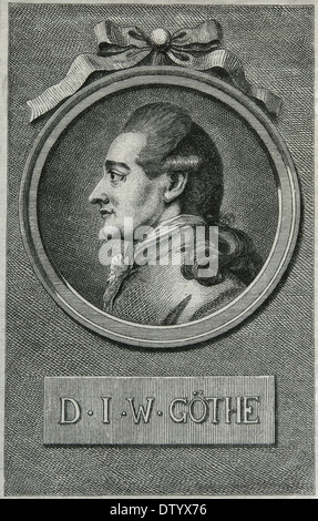 Portrait of Johann Wolfgang von Goethe - a German writer and statesman ...