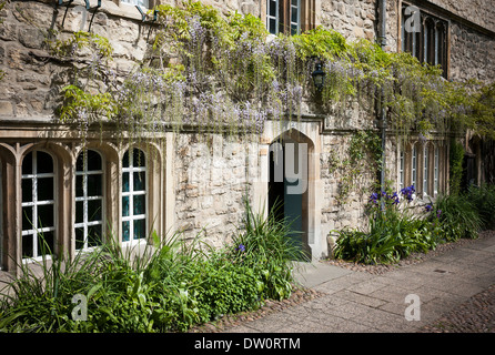 Quadrangle at St Edmund Hall college (Oxford university, England ...
