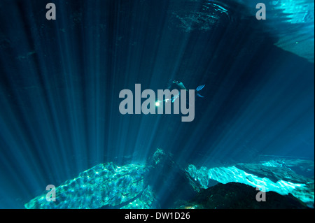 Scuba diver swimming thru the underwater Chikin Ha Cenote cave Stock ...