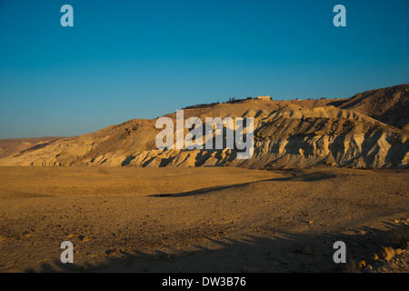 oasis in the wilderness of zin negev desert Israel Stock Photo - Alamy