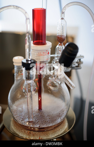 BACTERIA PRODUCES PURE GOLD Researchers at Michigan State University ...