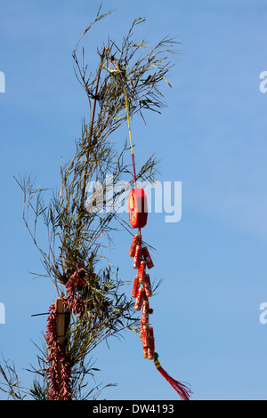 chinese firecrackers, celebrations of chinese lunar new year Stock ...