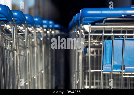 Two lines of shopping carts outside grocery store Stock Photo - Alamy