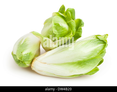 Fresh raw Belgian bitter chicory salad ready to eat, close up Stock ...