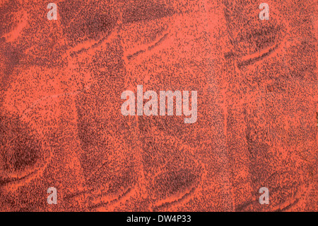 background, texture: surface of primed metal sheet with spots of rust ...