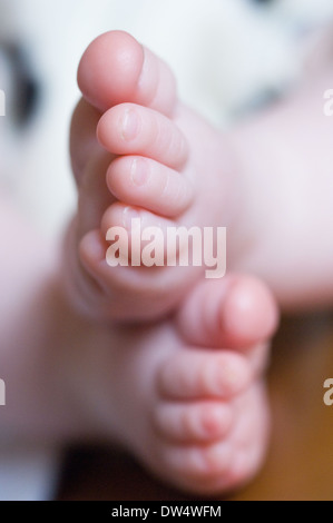 Newborn feet showing tiny toes Stock Photo - Alamy