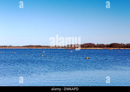 A view of Barton Broad National Nature Reserve on the Norfolk Broads at ...