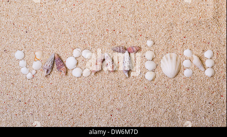 Title "vacation" from sea shells with coral sand as background Stock ...