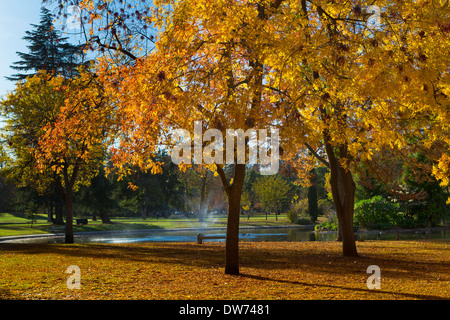 Fall colors in William Land Park, Sacramento, California Stock Photo ...