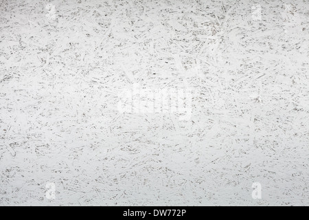 White Veneer Texture