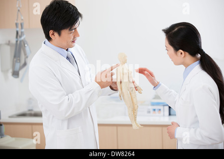 Asian women doctor holding anatomical organ model explaining medical ...