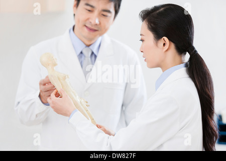 Asian women doctor holding anatomical organ model explaining medical ...