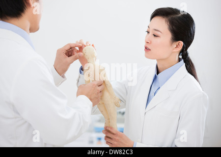 Asian women doctor holding anatomical organ model explaining medical ...