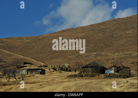 Katse, Thaba Tseka district, Lesotho, head of donkey eating maize husks ...