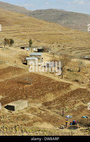 Subsistence farming in rural Lesotho Stock Photo - Alamy