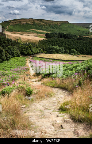 Urra Moor from Hasty Bank, North Yorkshire, England Stock Photo - Alamy