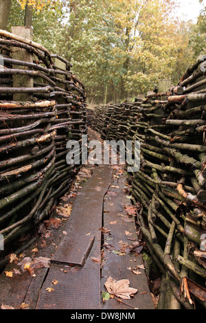 German trenches WWI - Bayernwald Stock Photo - Alamy