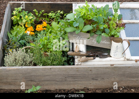 Cold frame, hotbed Stock Photo - Alamy