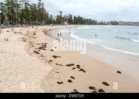 Manly Beach Sydney, people relax on Manly Beach during a warm summers ...
