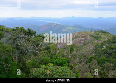 The green hills of the Bvumba Mountains in the Eastern Highlands of ...