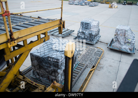 Air freight cargo on pallets being loaded into the freight hold of a ...