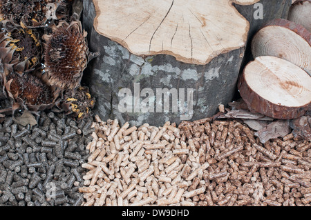 Three kind of pellets and materials they made of- oak, sunflower, pine ...
