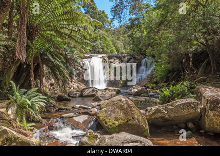 Halls Falls, Rock Pool, The Blue Tier Forest Reserve, near St Helen's ...