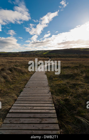 Gronant Dunes Local Nature Reserve at Prestatyn North Wales Stock Photo ...