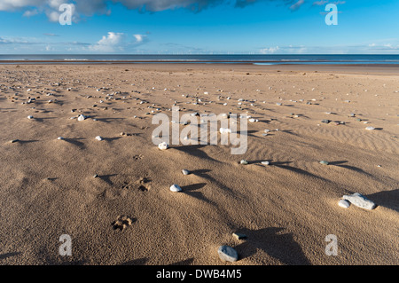 Gronant Dunes Local Nature Reserve at Prestatyn North Wales Stock Photo ...