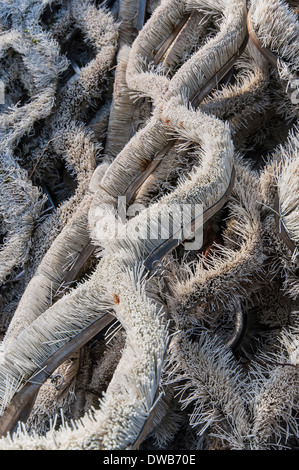 Dry slope Ski run early Bendix matting Stock Photo - Alamy