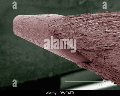Coloured SEM of pencil Stock Photo - Alamy