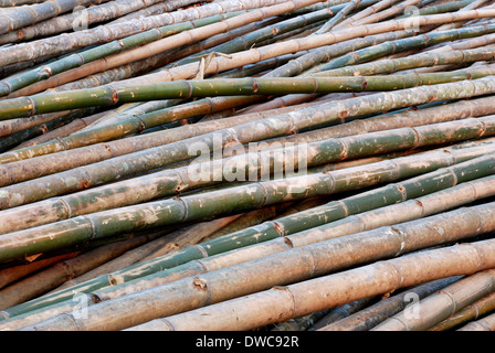 Bamboo sticks raw material for constructions of Asian Stock Photo - Alamy