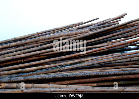 Bamboo sticks raw material for constructions of Asian Stock Photo - Alamy