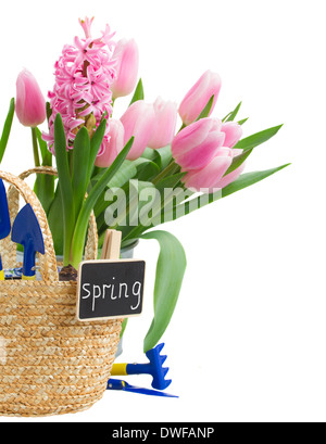Gardening tools with pink hyacinth and tulips Stock Photo - Alamy