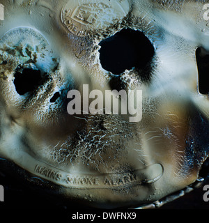 A fire damaged Smoke Alarm Stock Photo - Alamy