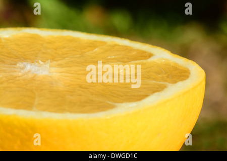 Yellow grapefruit close-up Stock Photo - Alamy