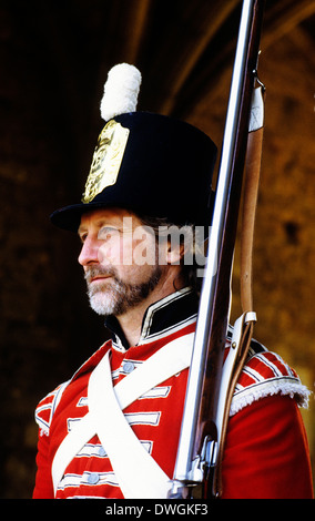 Napoleonic Wars re-enactment Stock Photo - Alamy