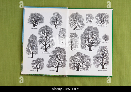 Outlines of Trees as drawn in ink by S R Badmin - printed on the inside ...