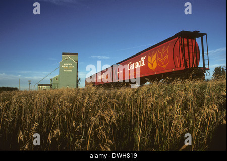 Grain elevator and grain car, Kathryn, Alberta, Canada Stock Photo - Alamy