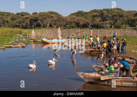 Boats in fishing harbour, Awasa, Ethiopia, Awassa, Hawassa Stock Photo ...