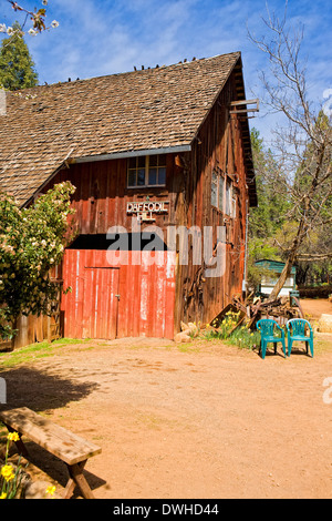 Daffodil Hill Sutter Creek California Stock Photo - Alamy