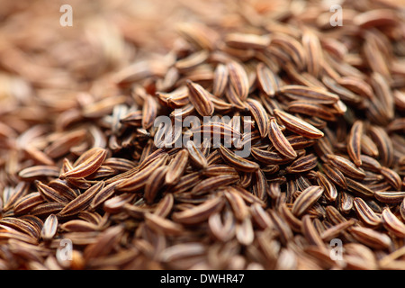 Cumin seeds texture, full frame background Stock Photo - Alamy
