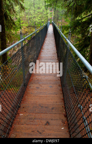 Hiker suspension bridge on Drift Creek Falls Trail, Siuslaw National ...